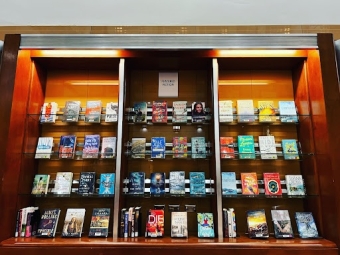 Visual Advocacy: Merchandising the Library