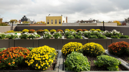 Urban Libraries Council